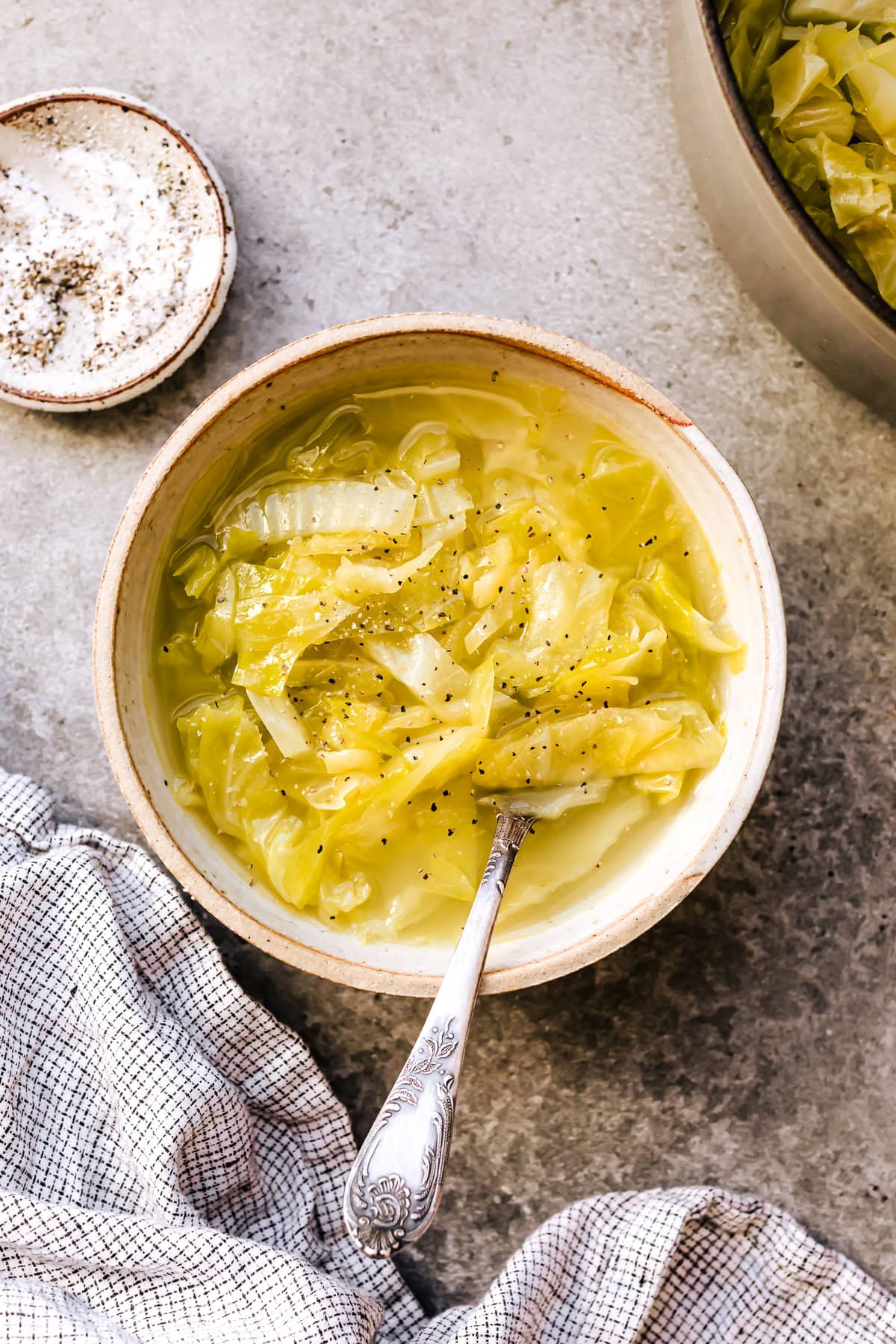 Soupe au chou (Facile, 5 ingrédients) – Mes Recettes Faciles